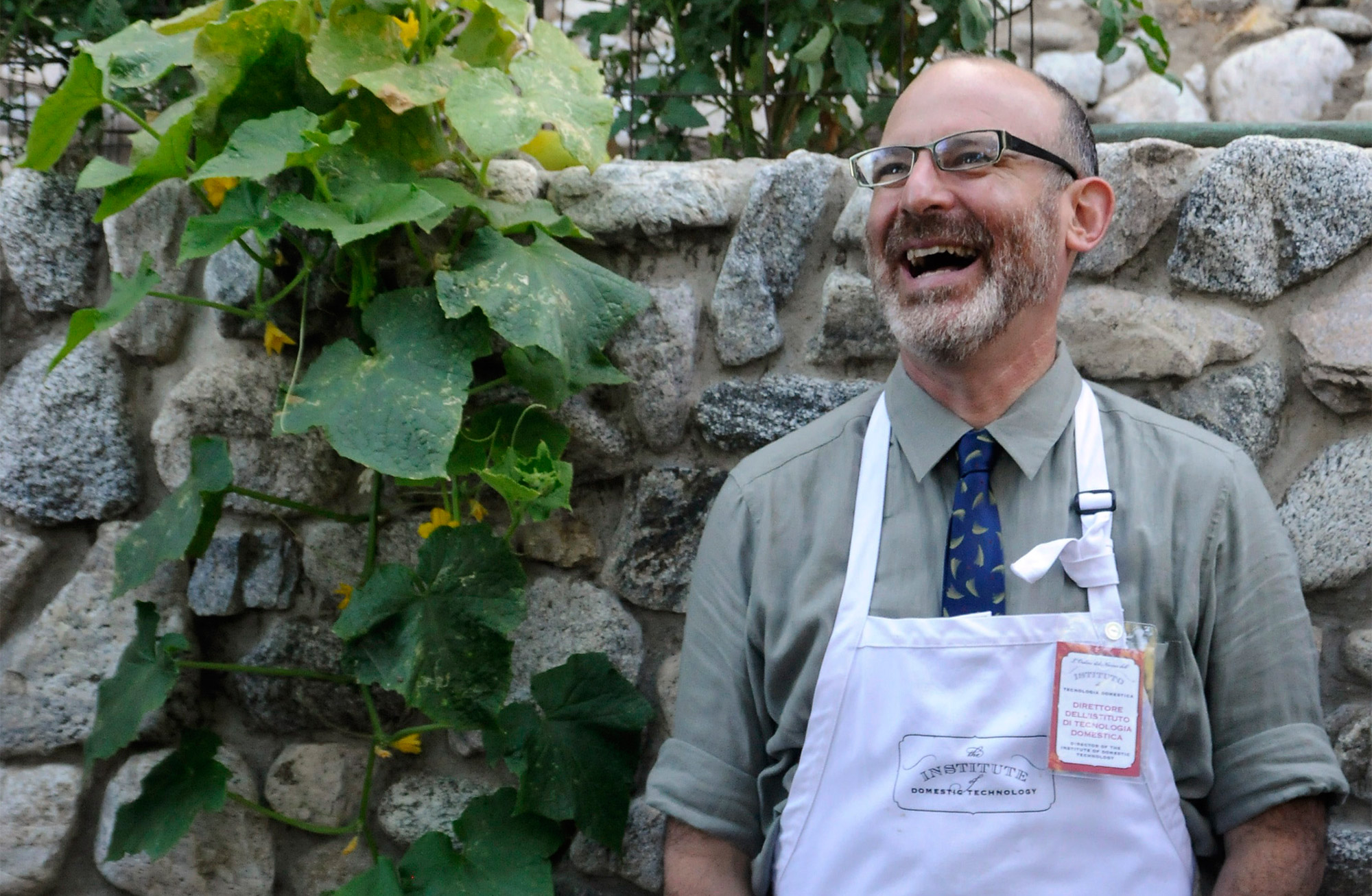 The Institute | The Institute of Domestic Technology